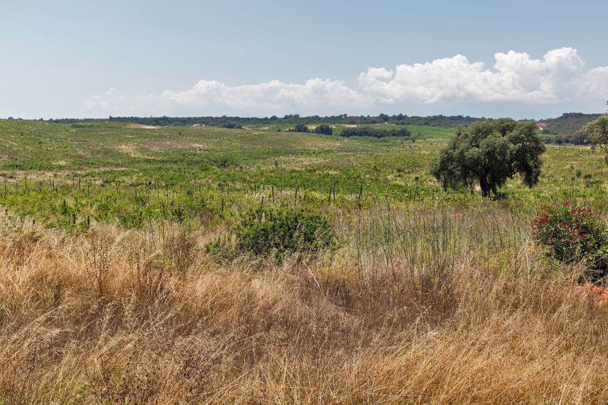Comment trouver le terrain idéal pour la construction d'une maison ...